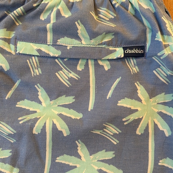 chubbies | Swim | Chubbies Bathing Suit | Poshmark